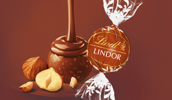 LINDOR Hazelnut 10kg B2B - Lindt Online Shop